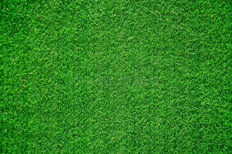 Green grass from above stock photo. Image of form, background - 11302574