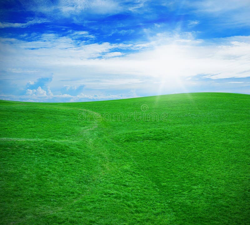 Green Grass Against a Blue Sunny Sky Stock Photo - Image of garden ...