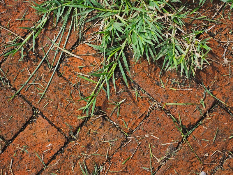 380 Seamless Red Brick Road Photos - Free & Royalty-Free Stock Photos ...