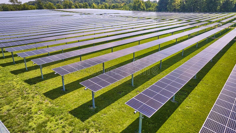 Green Grass Around Rows of Sunlit Solar Panels in Farm Aerial Stock ...
