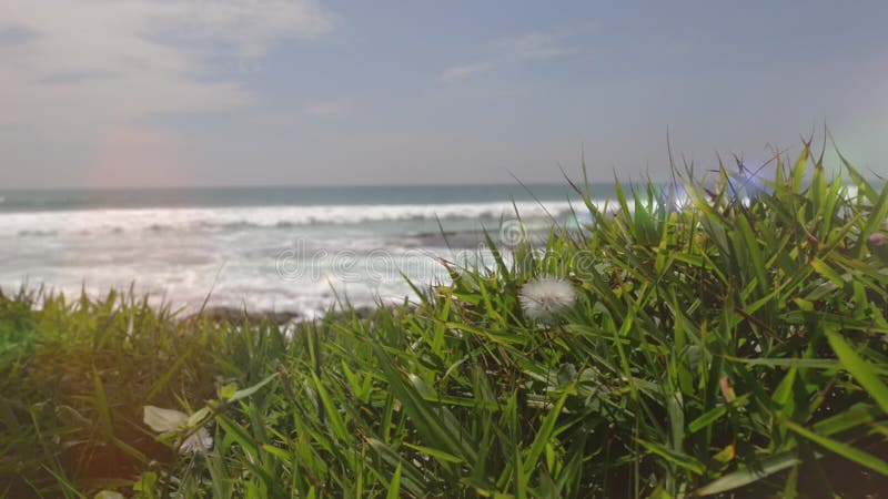 Green Grass the Backdrop of a Raging Sea in Sunlight. Zoom Out Stock ...
