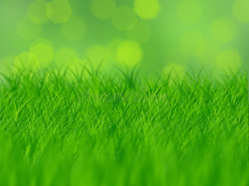 Grass Border on Natural Green Background Stock Vector - Illustration of ...