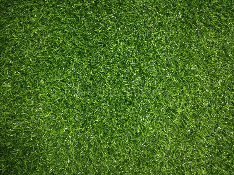 301,307 Big Grass Stock Photos - Free & Royalty-Free Stock Photos from ...