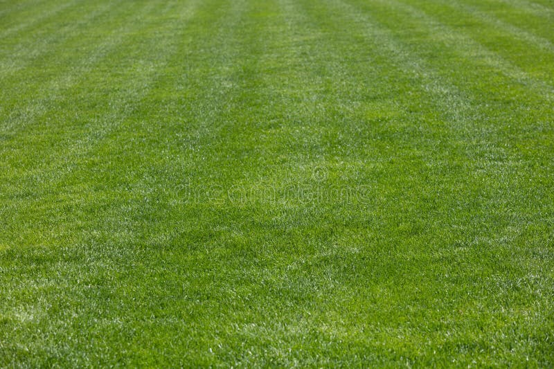 Green Grass Background, Football Field Textured Background Stock Image ...