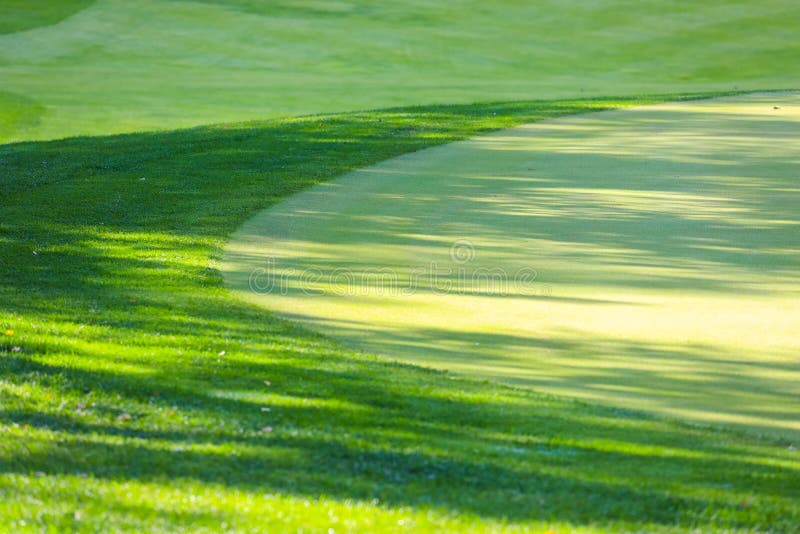 Green Grass. Background. Golf Course, Shadows from Trees on the Grass ...