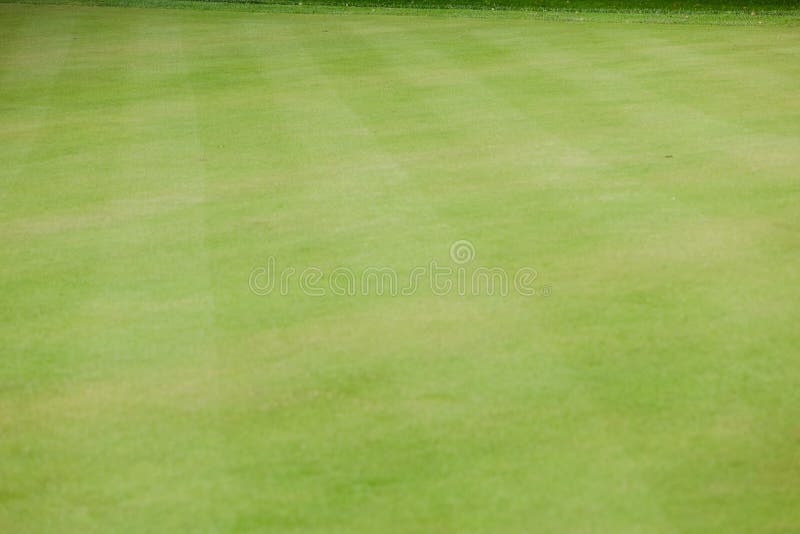 Green Grass. Background. Golf Course, Shadows from Trees on the Grass ...