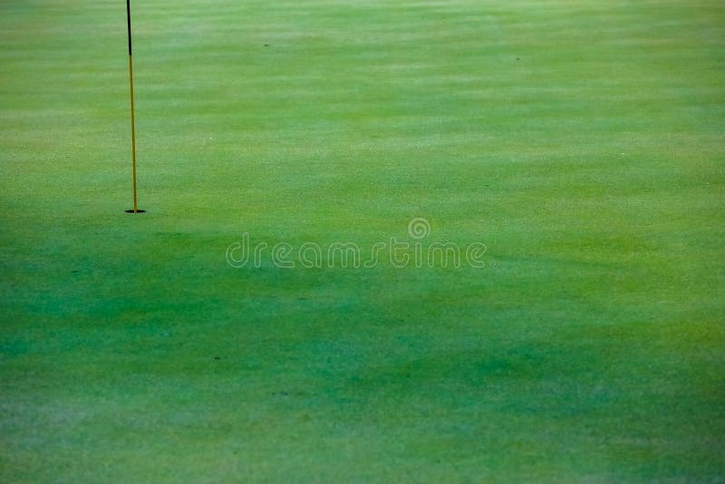 Green Grass. Background. Golf Course, Shadows from Trees on the Grass ...