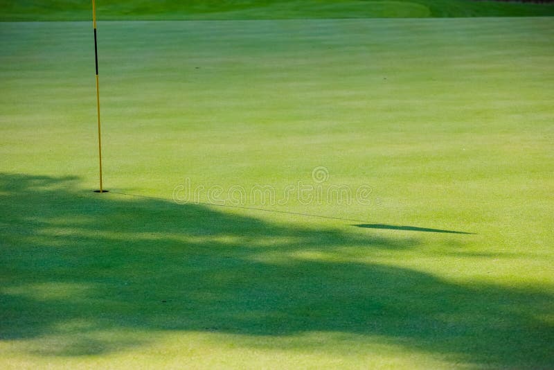 Green Grass. Background. Golf Course, Shadows from Trees on the Grass ...