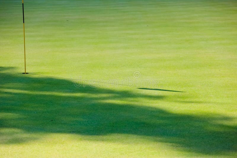 Green Grass. Background. Golf Course, Shadows from Trees on the Grass ...