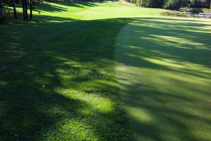Green Grass. Background. Golf Course, Shadows from Trees on the Grass ...