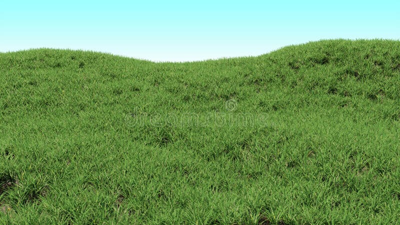 Grass Photorealistic Stock Illustrations – 231 Grass Photorealistic ...