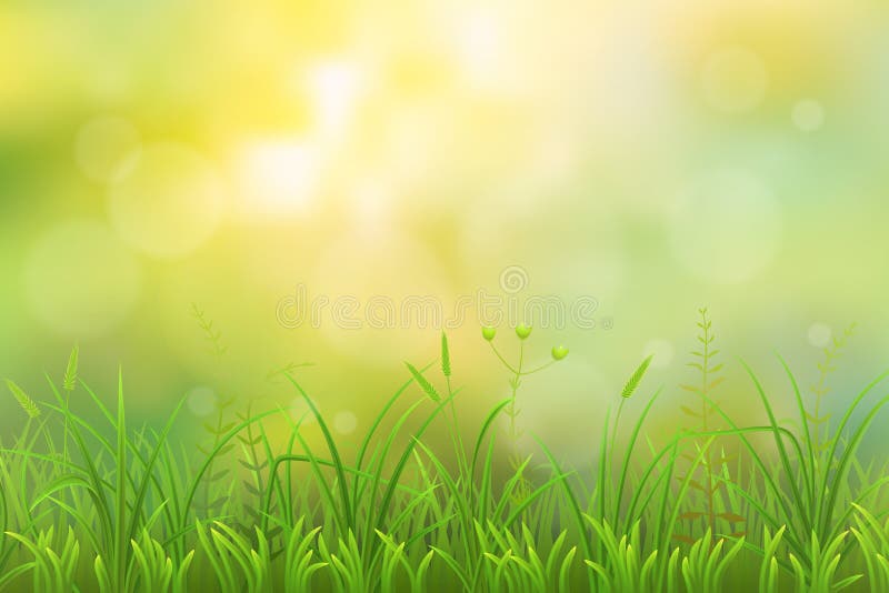 Green Herbal Background Stock Illustrations – 142,463 Green Herbal ...