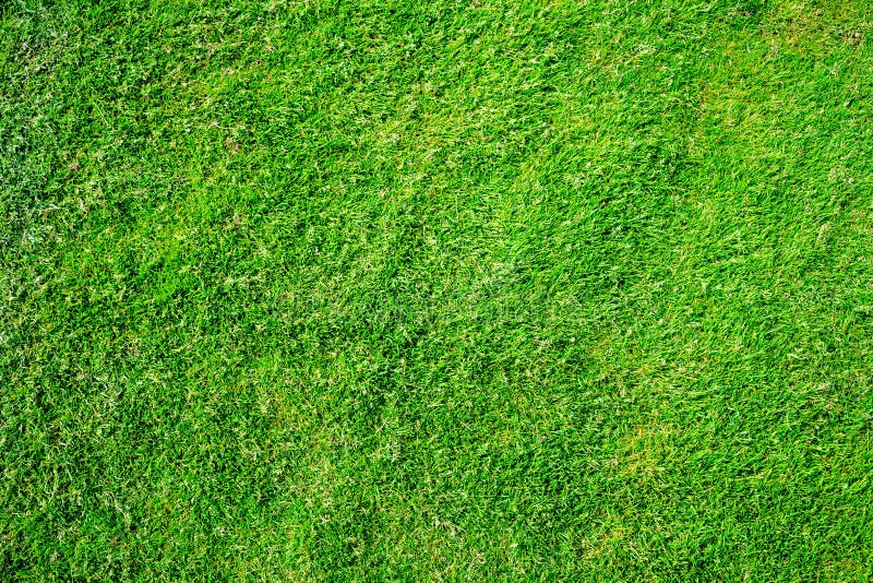 Green Grass Background View from Aerial Stock Photo - Image of view ...