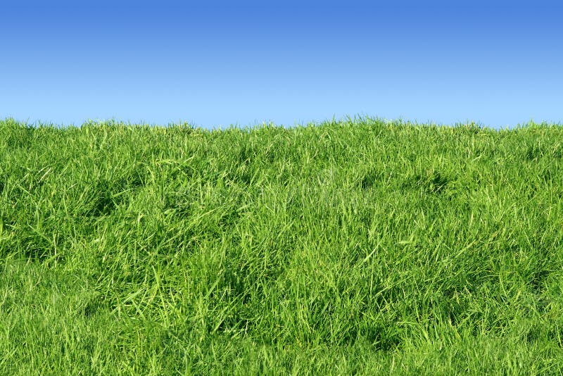 70,063 Grass Bank Stock Photos - Free & Royalty-Free Stock Photos from ...
