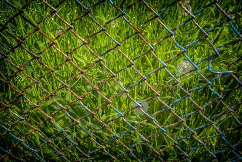 Green Grass Behind Rusty Metal Bars Stock Image - Image of isolated ...