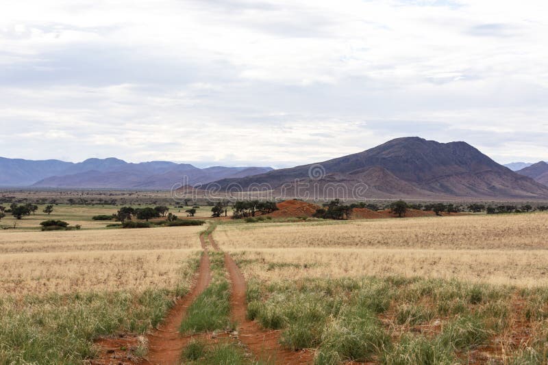 Jeep Tracks in Green Grass and Blue Mountains Stock Image - Image of ...