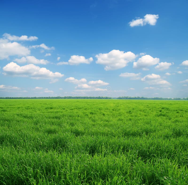 153,509 Blue Cloud Sky Green Grass Horizon Stock Photos - Free ...