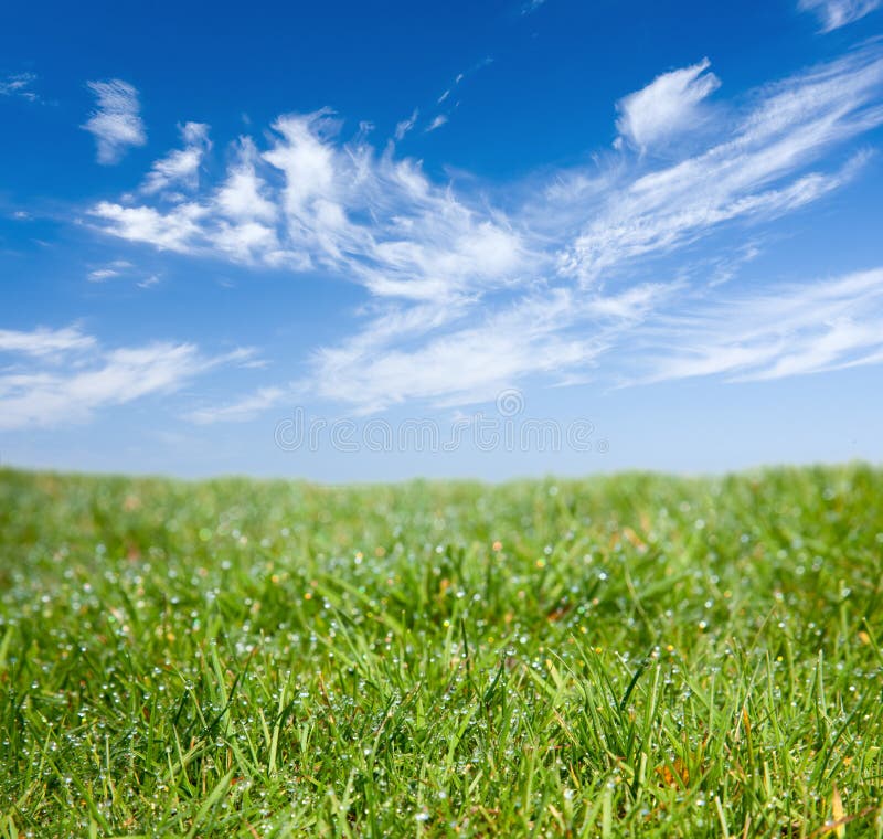 Green grass and blue sky stock photo. Image of clouds - 10341208