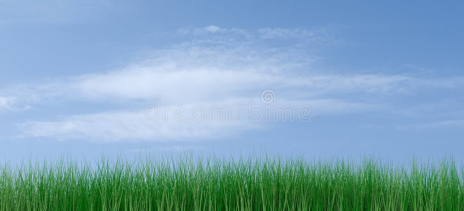 Nature, Green, Sky, Grass Picture. Image: 102634588