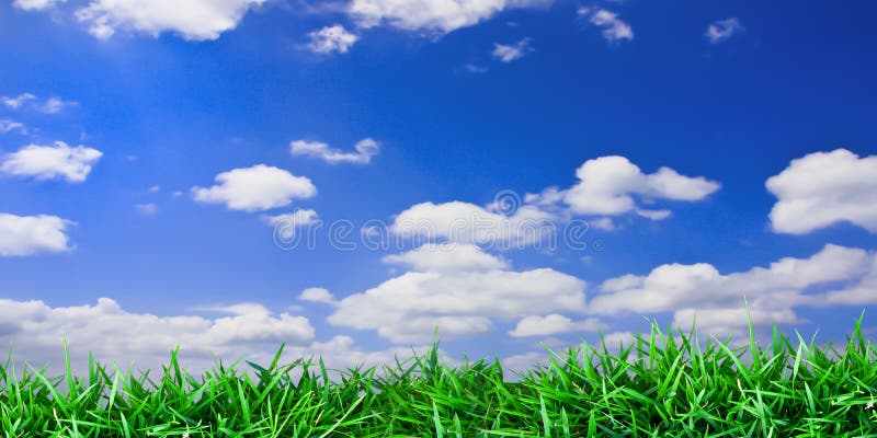 Green Grass and blue sky stock image. Image of landscape - 19317373