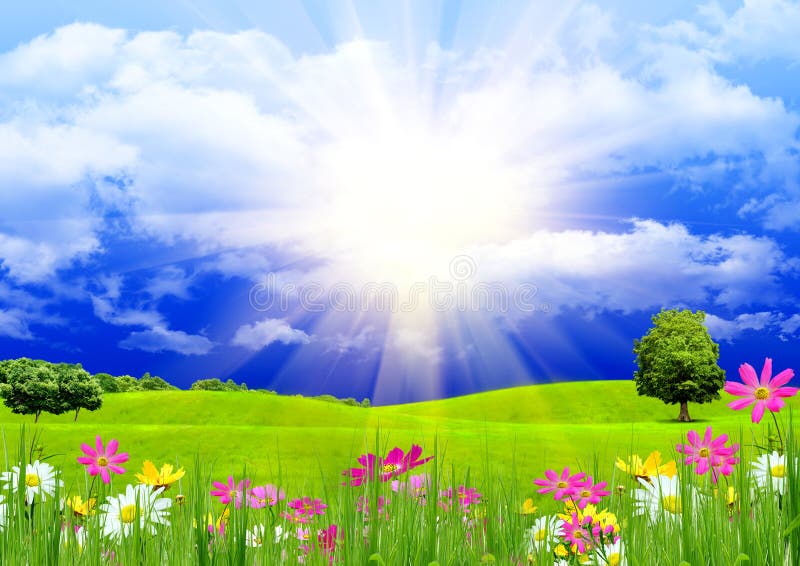 Green Grass and the Blue Sky Stock Photo - Image of botany, light: 22272914