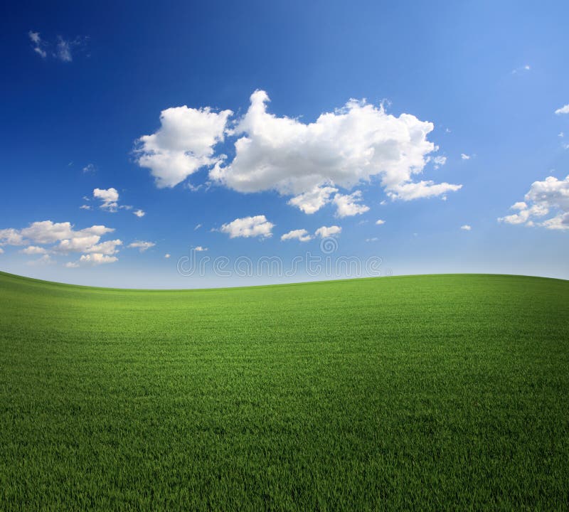 Sky and grass stock photo. Image of bright, environment - 14543098