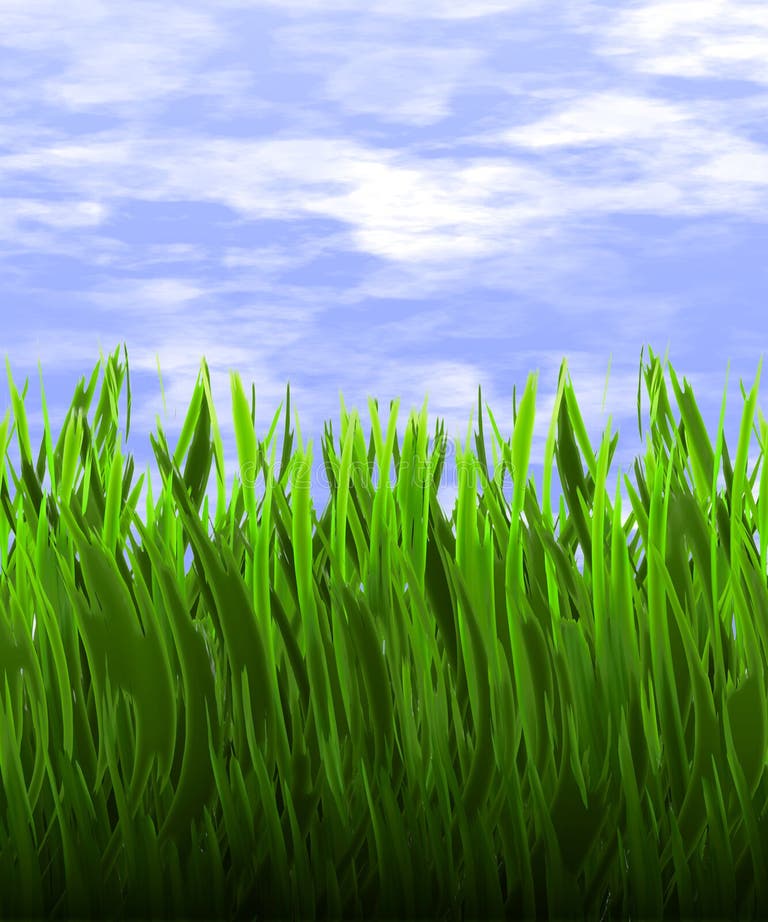 Long Grass Background Sky Stock Illustrations – 2,413 Long Grass ...