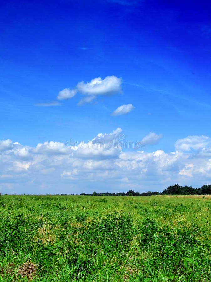 Nature, Green, Sky, Grass Picture. Image: 102634588