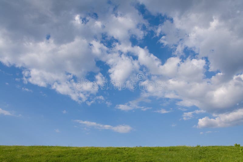 Green Grass And Blue Sky Picture. Image: 5652875
