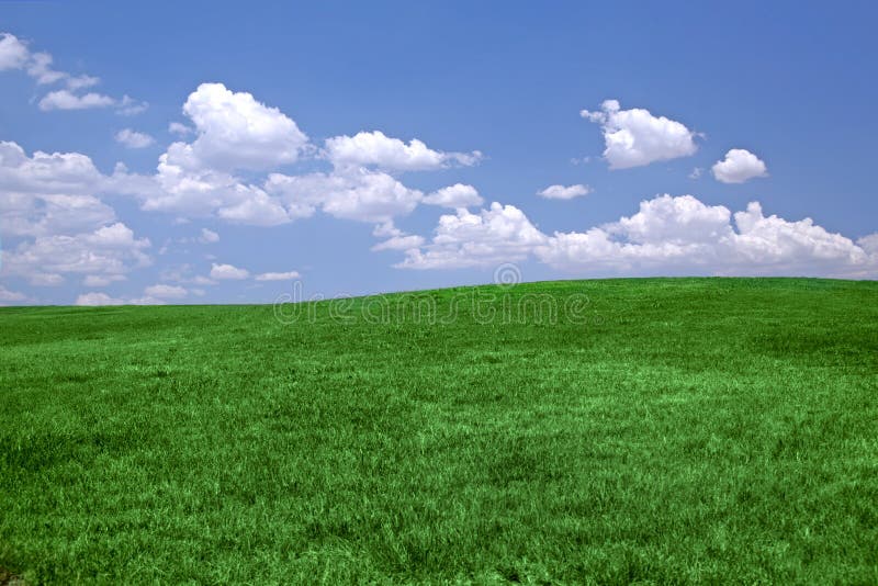 Green hills and blue sky stock photo. Image of clear, fresh - 5130164