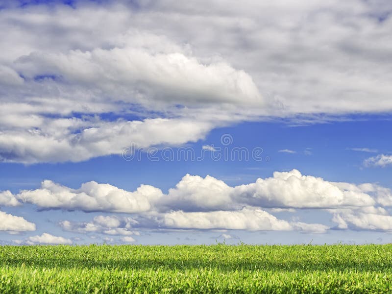 Green grass and blue sky stock photo. Image of background - 33387440