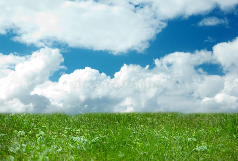 Green Grass and Blue Sky with Large Clouds Stock Photo - Image of ...