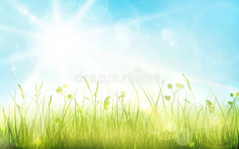 Dreamy Spring Nature Background Stock Illustrations – 88,720 Dreamy ...
