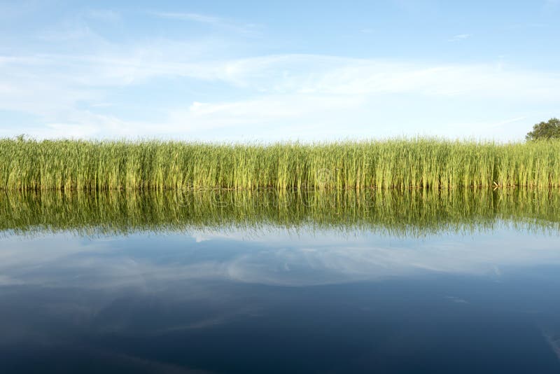 Green Grass with Blue Sky and Water Stock Image - Image of meadow ...