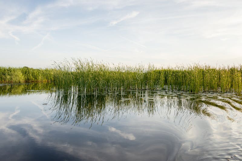 Green Grass with Blue Sky and Water Stock Image - Image of wallpaper ...