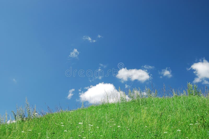 Green Grass, the Blue Sky and White Clouds Stock Image - Image of ...
