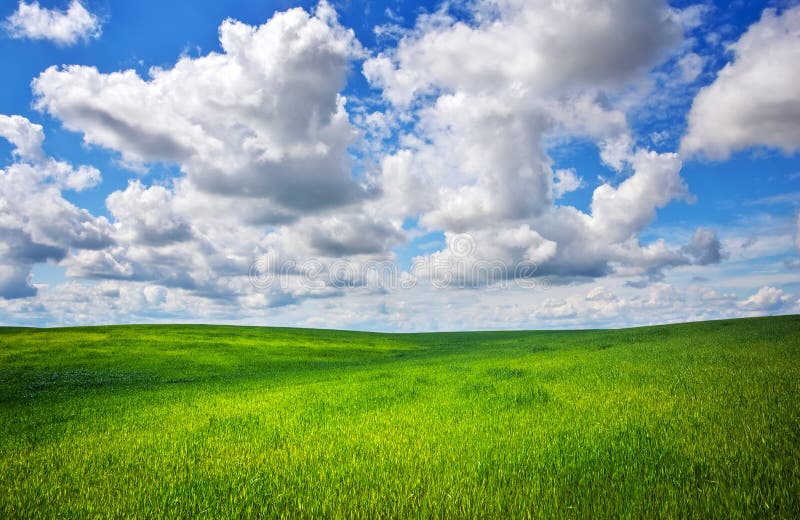 Field of Green Grass and Blue Sky Stock Photo - Image of horizon ...