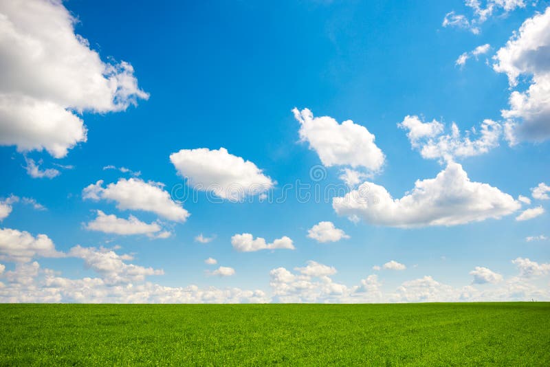 Green Grass and Blue Sky with White Clouds Stock Photo - Image of grass ...