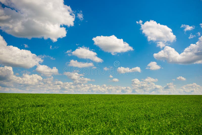 Green Grass and Blue Sky with White Clouds Stock Image - Image of ...
