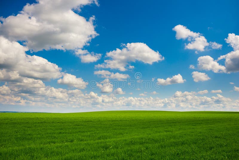 Green Grass Field and Bright Blue Sky Background Stock Image - Image of ...