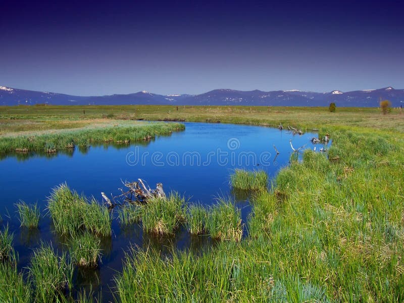 Green Grass And Body Of Water Picture. Image: 82991778
