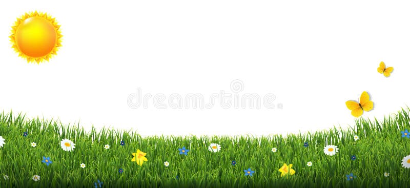 Green Grass Border with Flowers and Sun Isolated White Background Stock ...