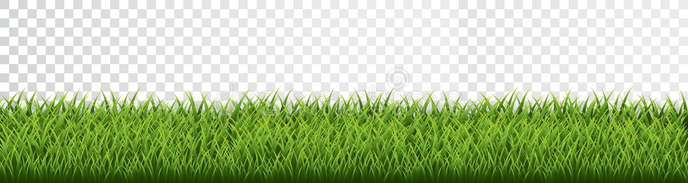 Transparent Field Stock Illustrations – 15,458 Transparent Field Stock ...