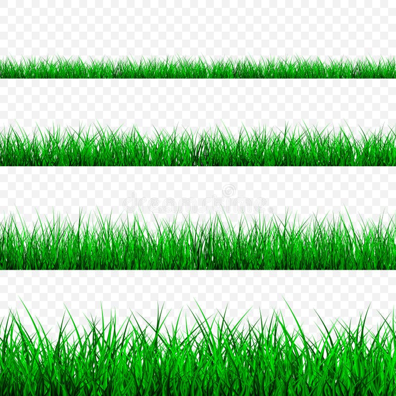 Green Grass Border Set, Vector Illustration Stock Vector - Illustration ...