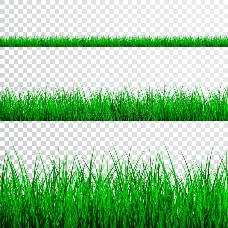 Green Grass Border Set, Vector Illustration Stock Vector - Illustration ...