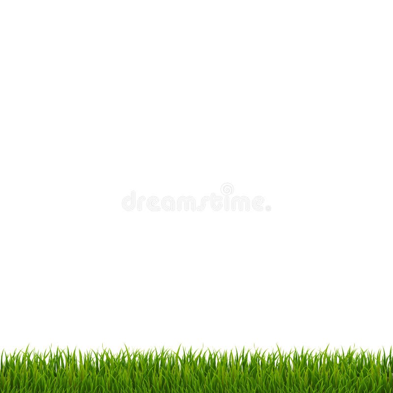 Green Grass Border stock vector. Illustration of border - 188800705