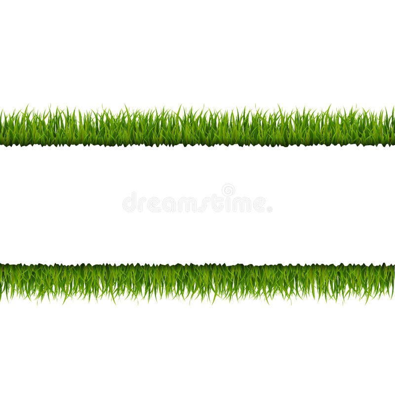 Green Grass Border stock vector. Illustration of field - 195332621