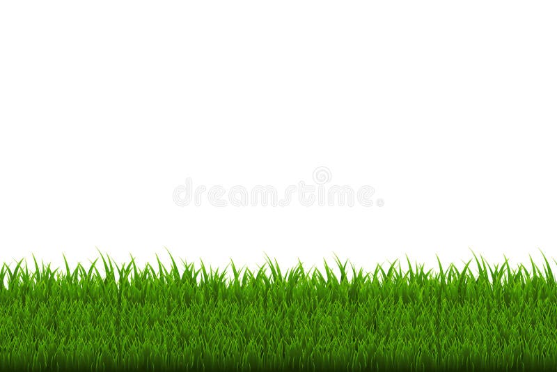 Green Grass Border with Transparent Background Stock Vector ...