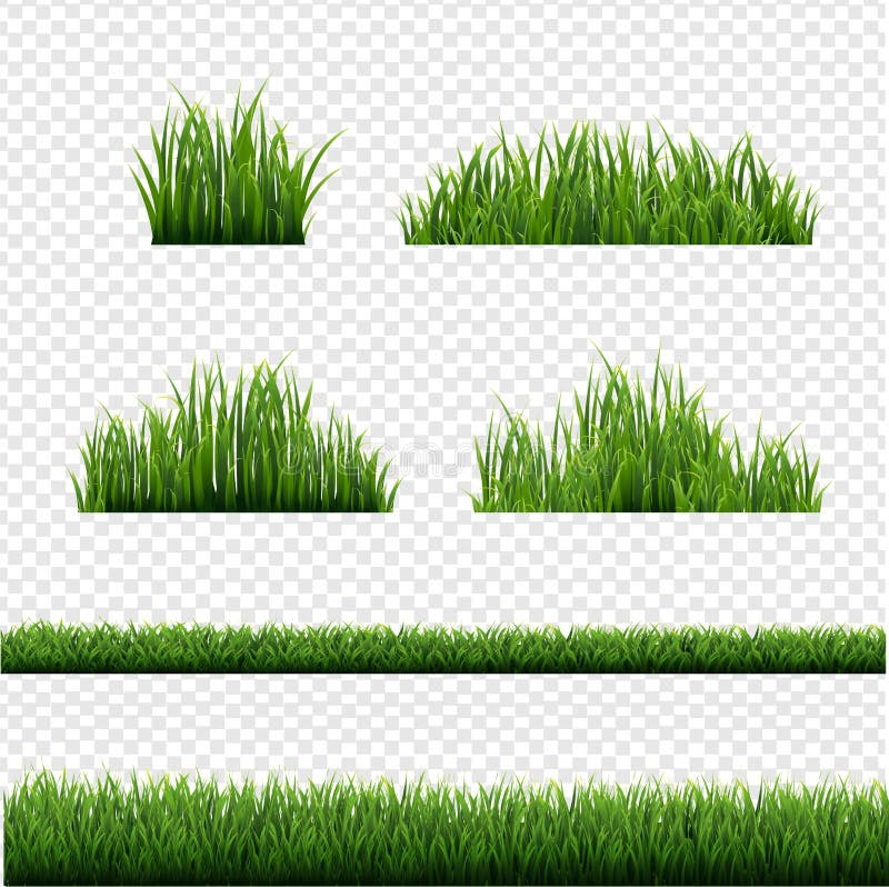 Green Grass Borders Collection Transparent Background Stock Vector ...