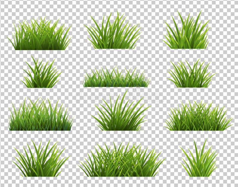 Green Grass Borders Set Isolated Transparent Background Stock Vector ...